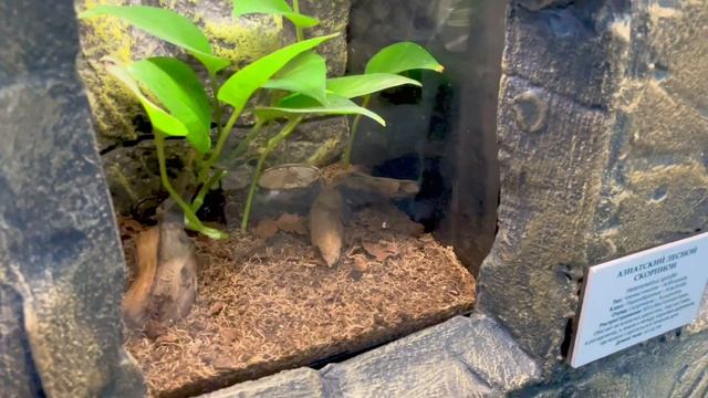 Калининградский зоопарк