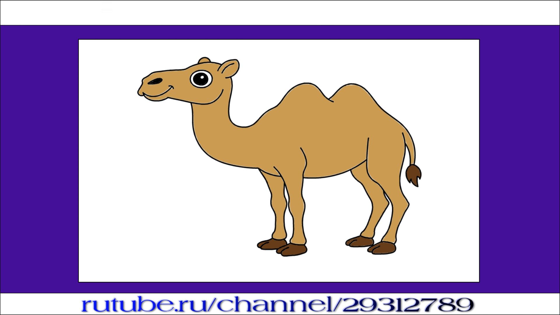 Как нарисовать верблюда