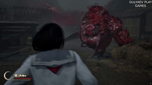 Silent Hill f. 3 Глава. Эбисугаока (поля).