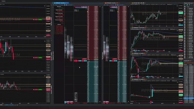 34-Pippinusdt-Short-Loss-25-11-2025-07-58-16