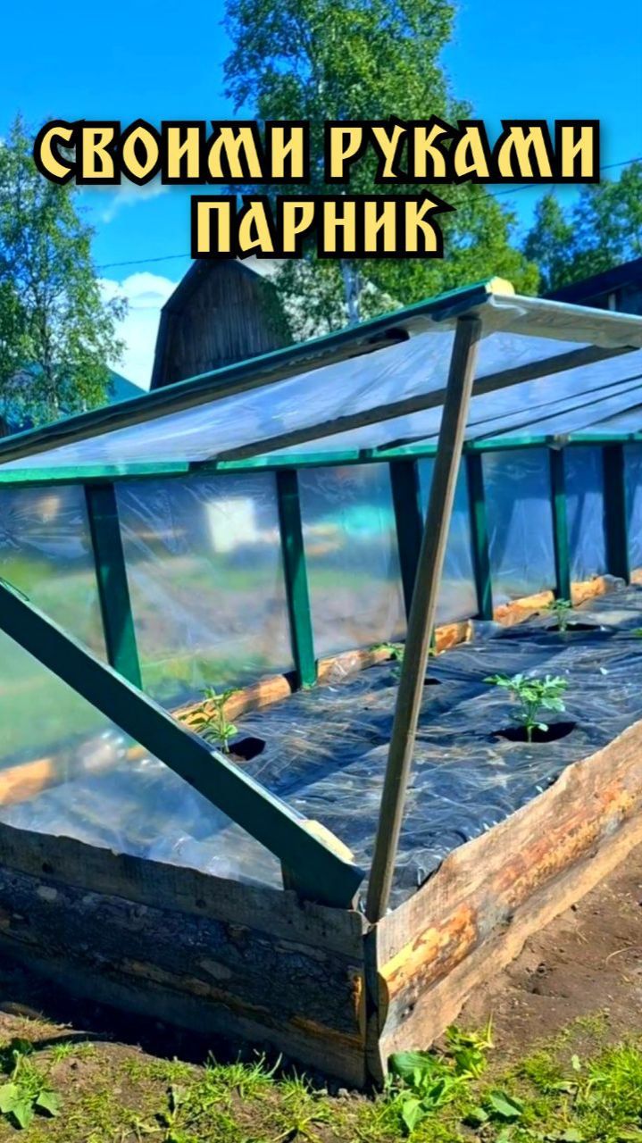 Парник своими руками