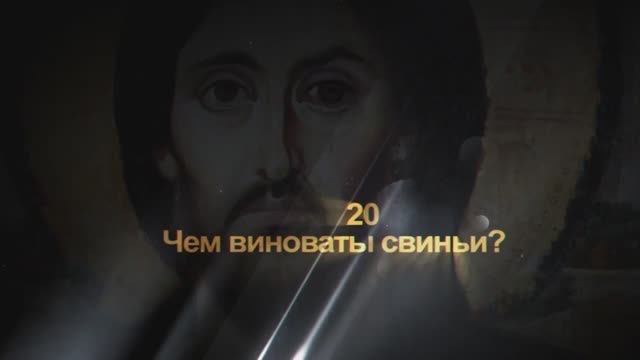 №20. ЧЕМ ВИНОВАТЫ СВИНЬИ? Почему бесы вошли в стадо свиней? Демонизм