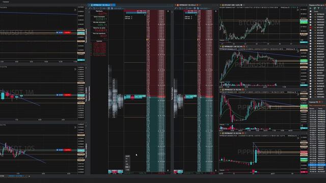 33-Pippinusdt-Long-Loss-25-11-2025-07-55-31