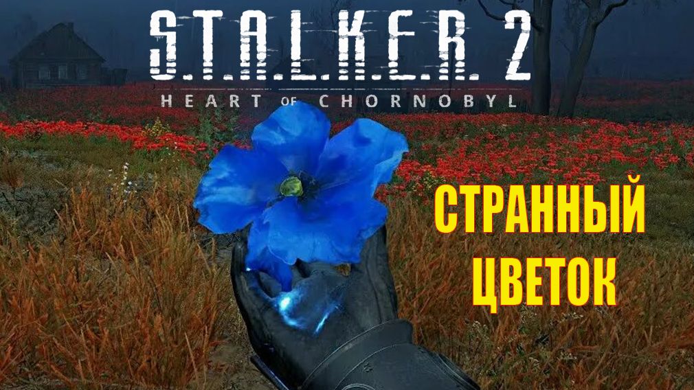 S.T.A.L.K.E.R. 2 Heart of Chornobyl /Сталкер 2/ Легендарный артефакт на Маковом поле/Странный цветок
