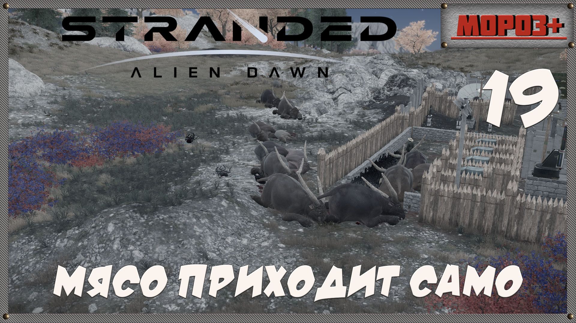 🟠Stranded: Alien Dawn🟠№19 Мясо приходит само!.