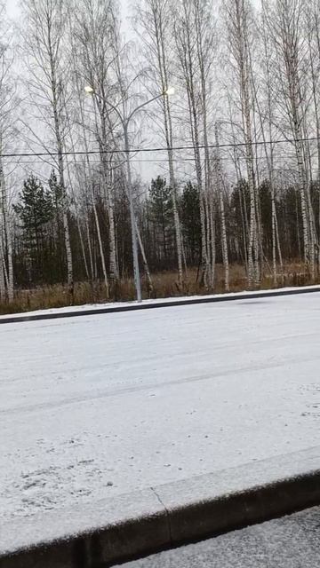 г.Ярославль. Путешествие по России. Золотое кольцо.