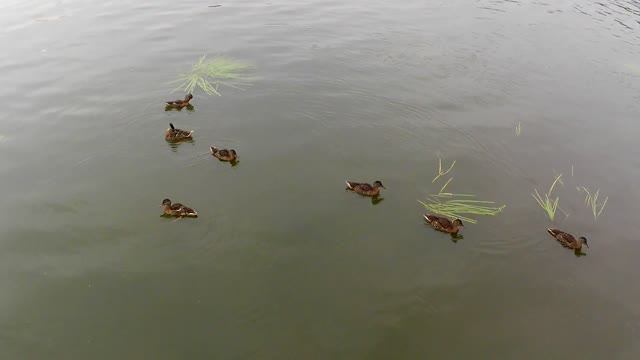 Закрою дверь