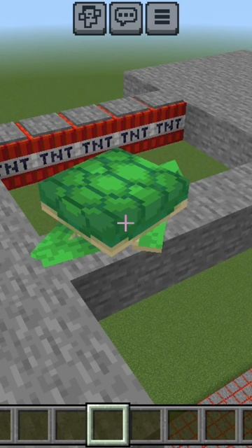 Проверяем IQ черепахи в minecraft | ДимА4 minecraft!