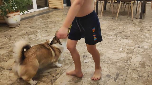 эпическое сражение Юви и младшего хозяина