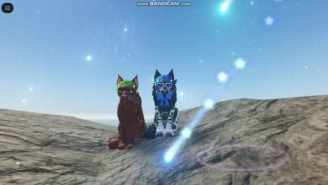 Как сделать фиксированную камеру во WCUE/Коллаб с Древесной лапой