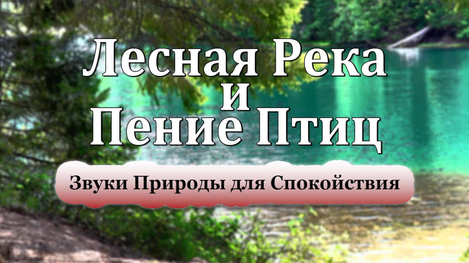 Лесная Река и Пение Птиц | Звуки Природы для Спокойствия 🕊️🌳🕊️