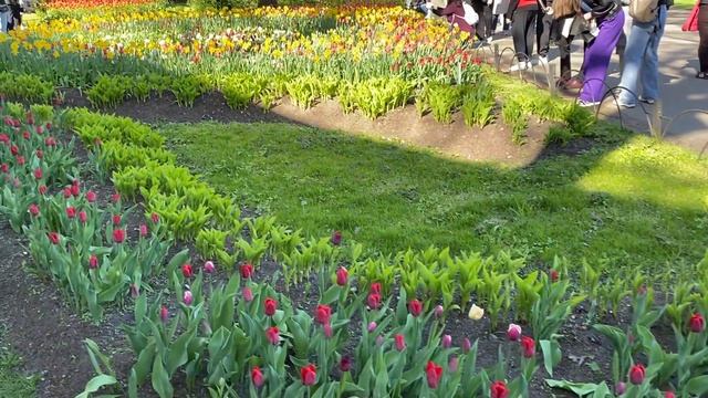 Прогулки по Санкт - Петербургу. Весенняя прогулка по Елагину острову.