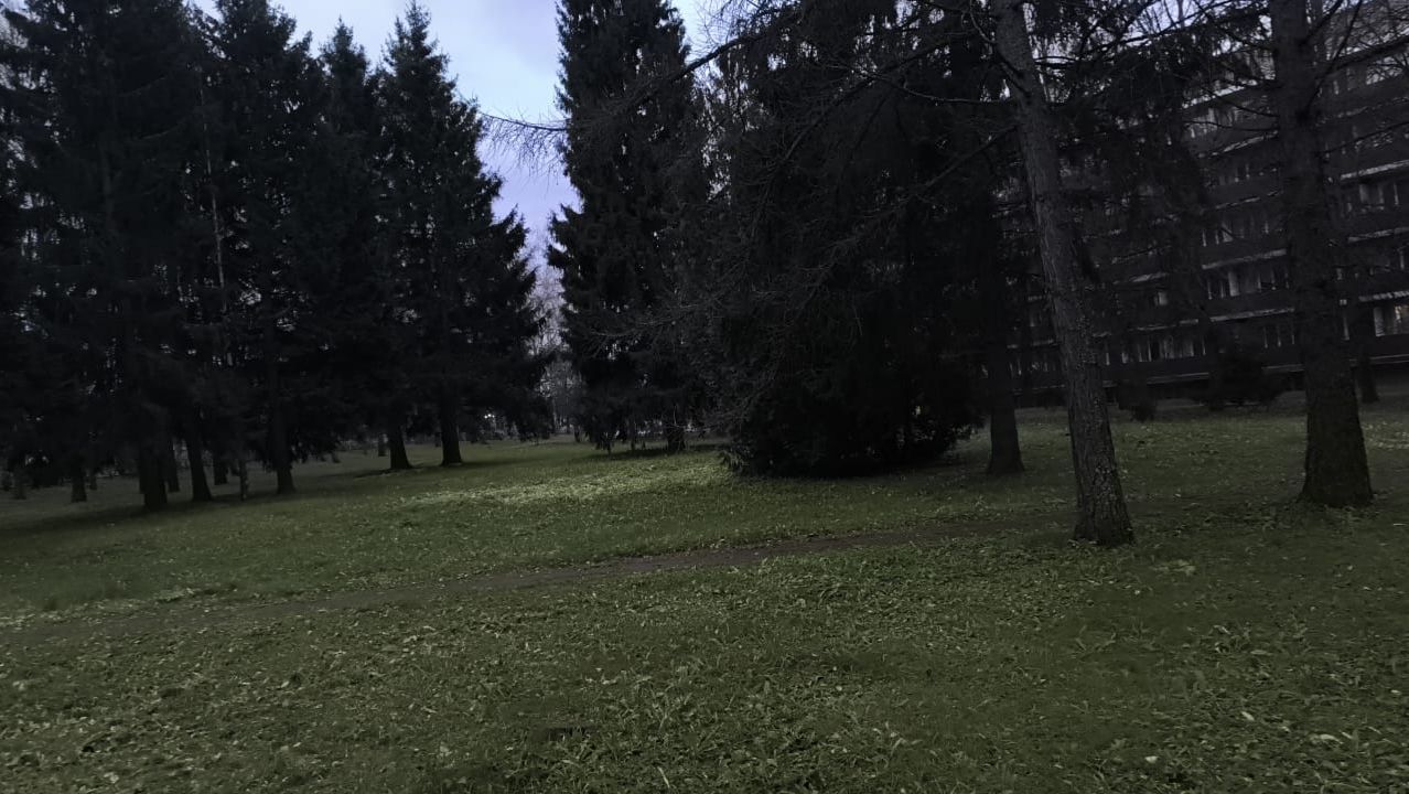 Санаторий ЦВМиР  "Березовая роща"  отдых и лечение. Обзор  отдыха в Подмосковье