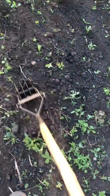 Как работает ручной культиватор!