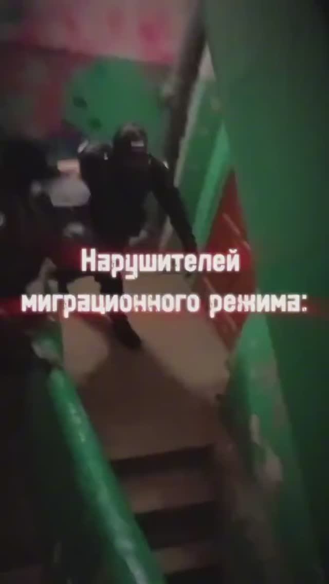 Добровольная народная дружина Верх-Исетского района - о своих результатах