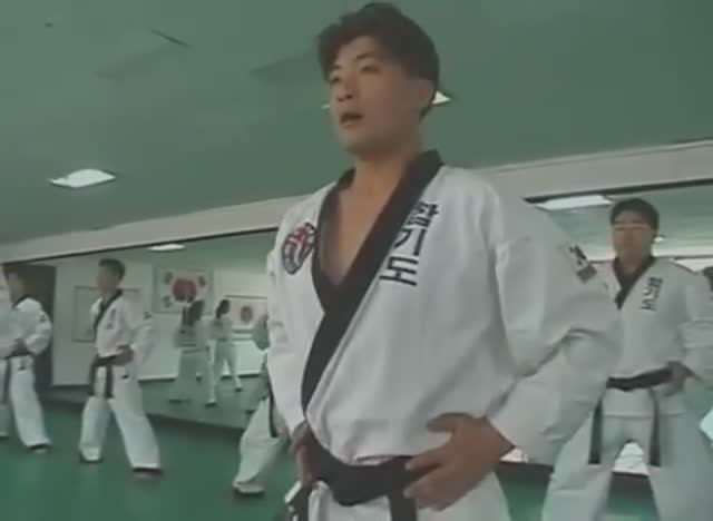 Хапкидо Джин Джун Кван - Обучающее видео