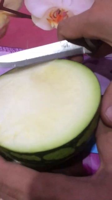 Мой первый арбуз на участке