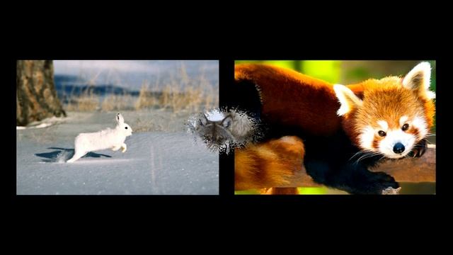 Atmosession (vocal chillout) - Vol 5