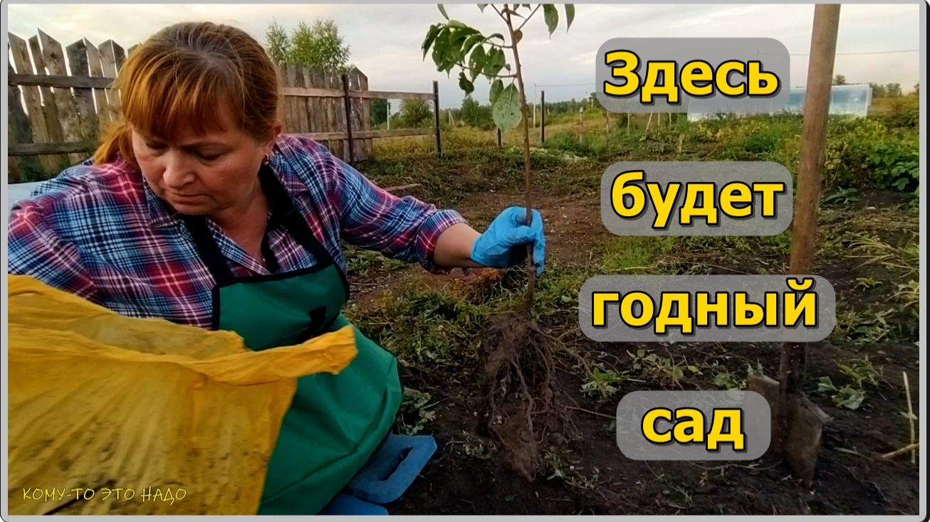 Сады придомья.