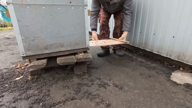 Прошло 24 дня после обработки.