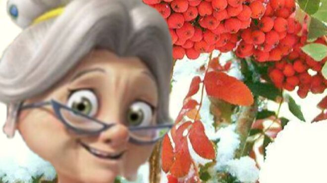 Рис с креветками