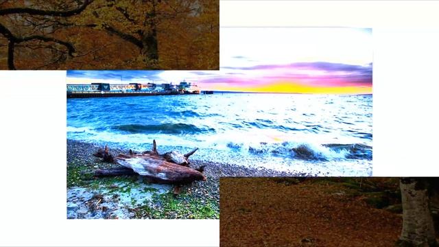 Stive Morgan - Chicago Plus