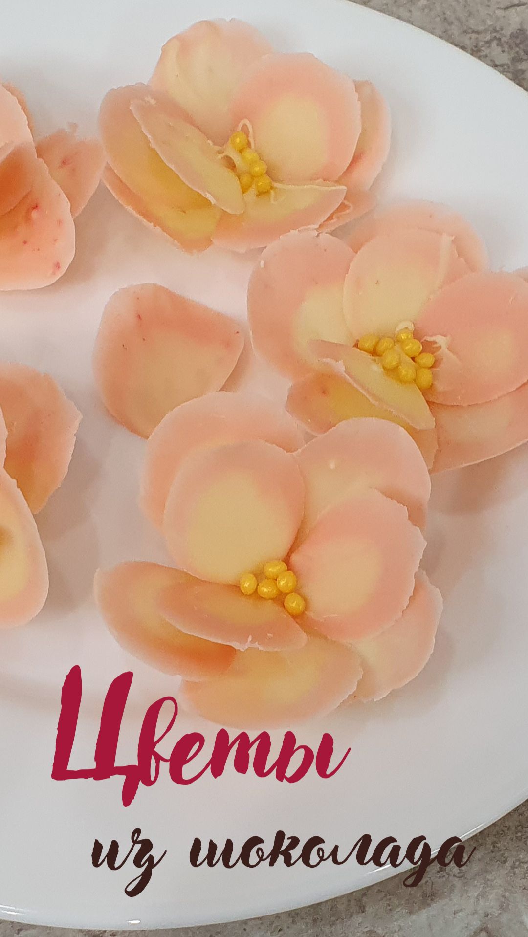 ЦВЕТЫ ИЗ ШОКОЛАДА