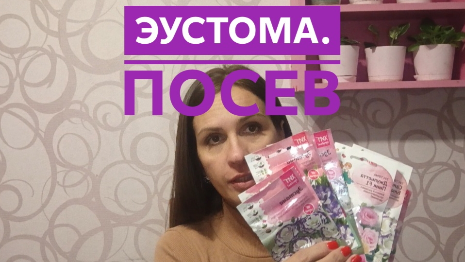 🌸 Как я сею эустому. Что обеспечит хорошую всхожесть