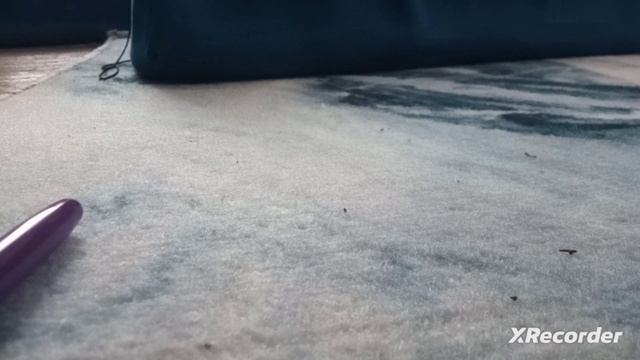 глупые котята 22