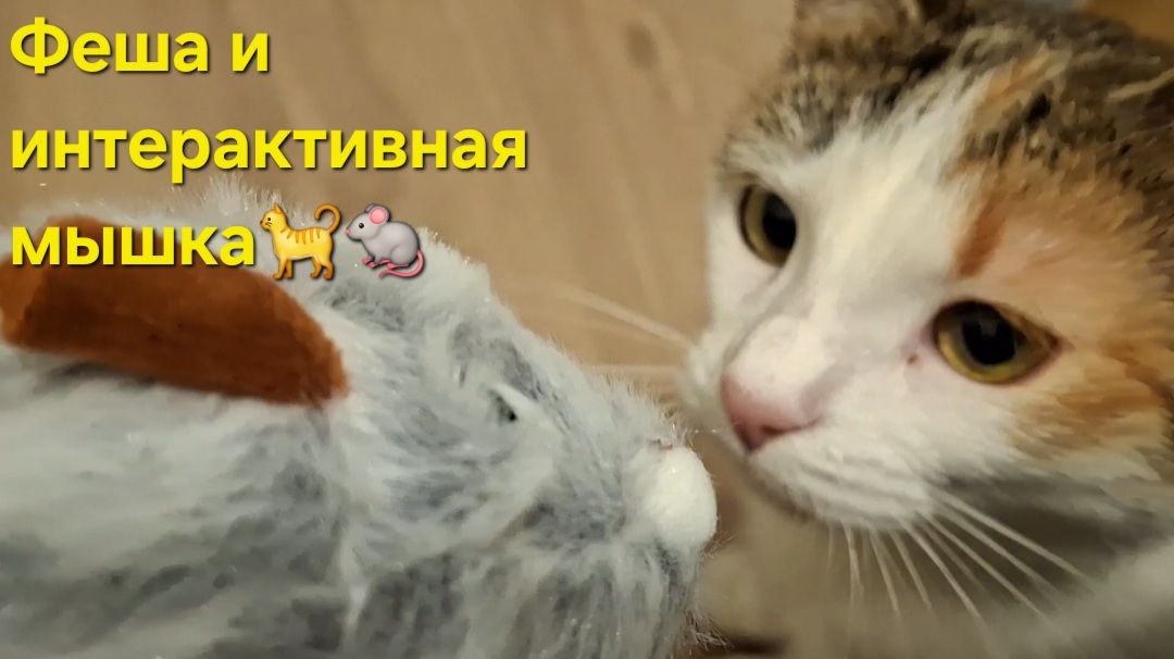 Феша и интерактивная мышка / Просто улыбнитесь🙂