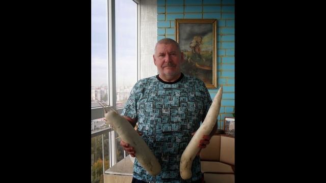 Ответы на вопросы по садово-огородным делам 57