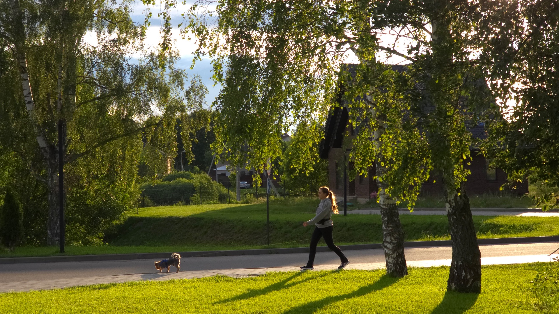 Петровское Парк - моменты 2025 года