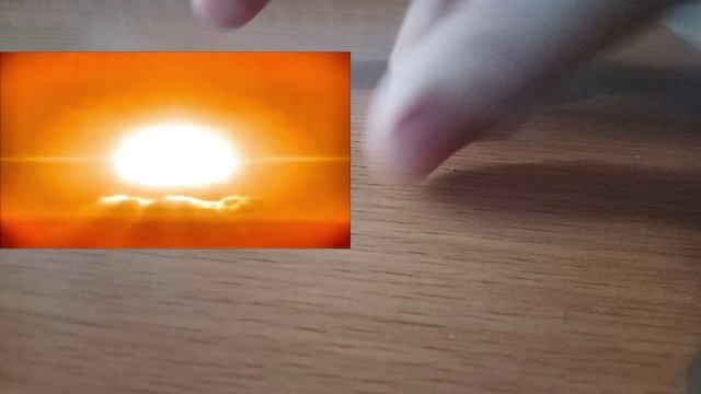 смешные котята 18