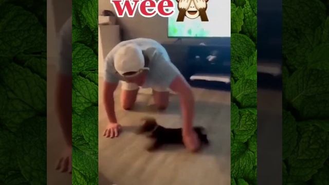 Сборник №72