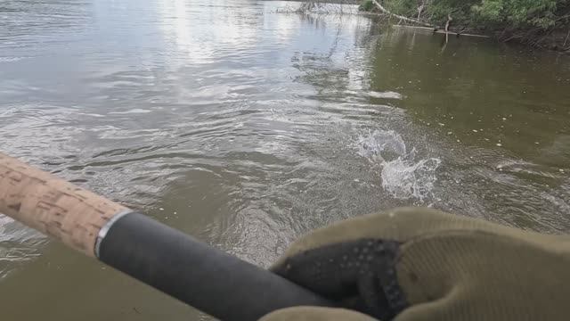 🎣ВОТ ДАЕТ🎣fishing#туризм#природа#ловля#рыбалка#щука#ловлящуки#ночевка#Чулым#река#спиннинг