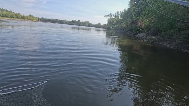 🎣ЕСТЬ🎣fishing#туризм#природа#ловля#рыбалка#щука#ловлящуки#ночевка#Чулым#река#спиннинг