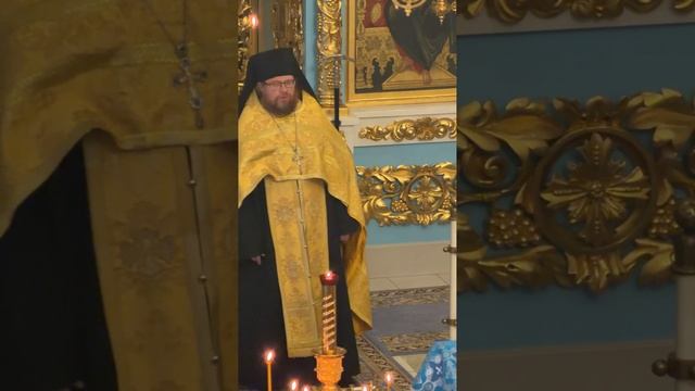 Проповедь иеромонаха Мардария на память архимандрита Дамаскина 29 ноября 2025 г.