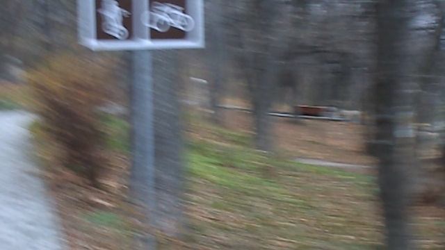 DSCN8472Осенний Железноводск.Белочка хозяйка железноводского парка ноябрь 2025