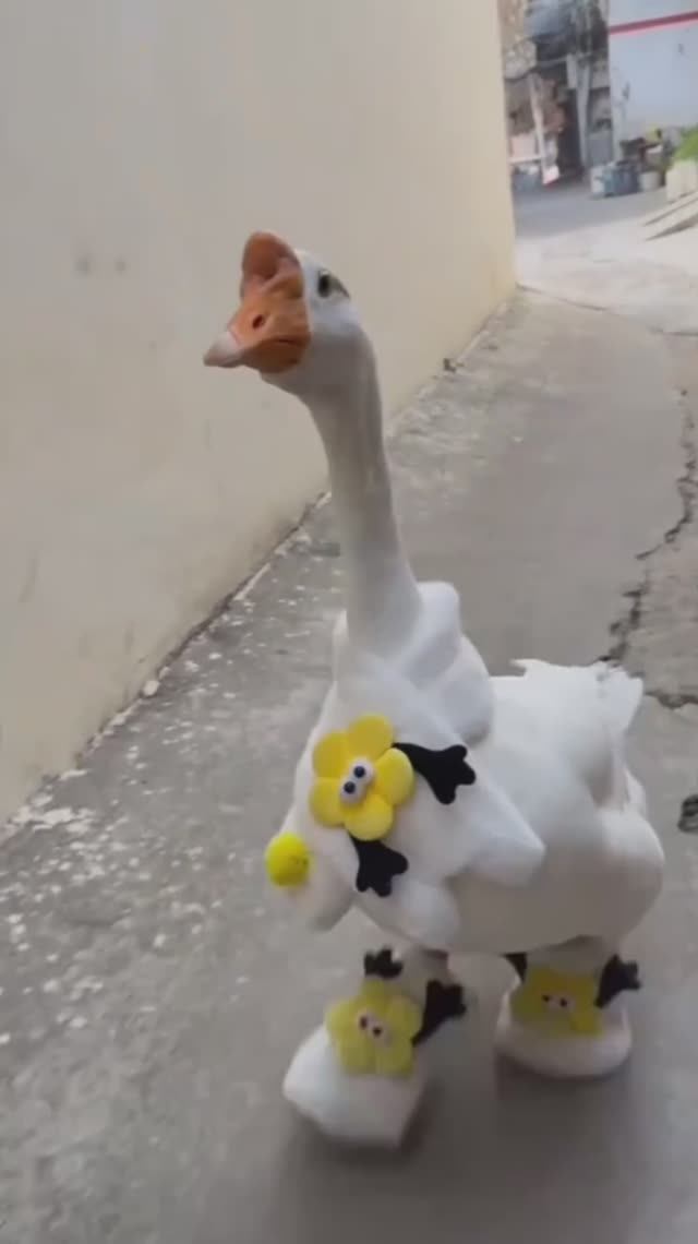 💞 Вот такая любовь!