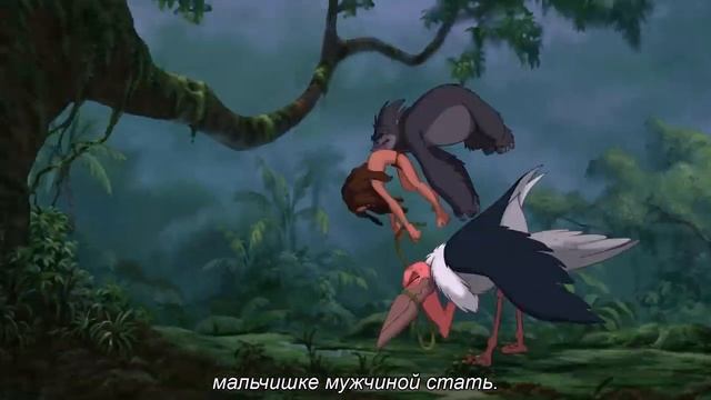 Сын людей | Тарзан