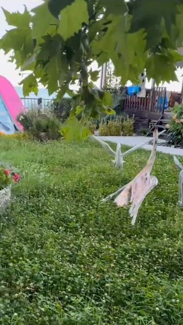 ВИЛЛА на пляже "ЛЮБОВЬ"  выход из отеля сразу на пляж😍