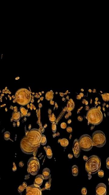 ФУТАЖ-  МОНЕТЫ