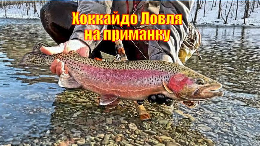 Хоккайдо. Основное течение сурового холодного сезона. Ловля на приманку.
