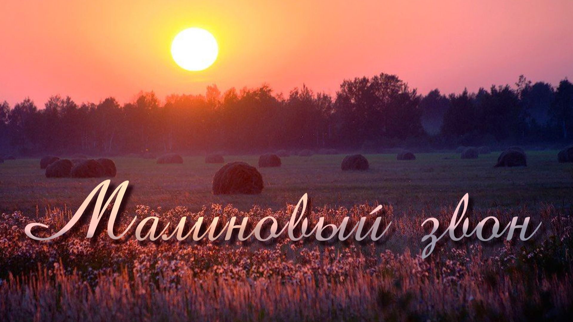 Александр Шалунов - Малиновый звон ( Александр Морозов - Анатолий Поперечный )