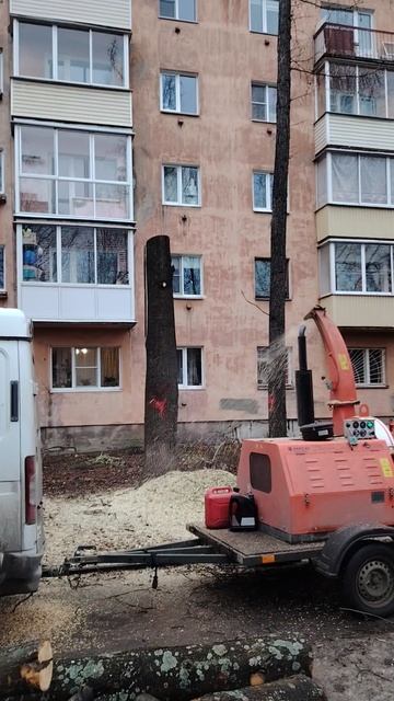 Щепки летят ©20251129