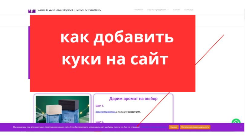 Как добавить куки на сайт в Вордпресс