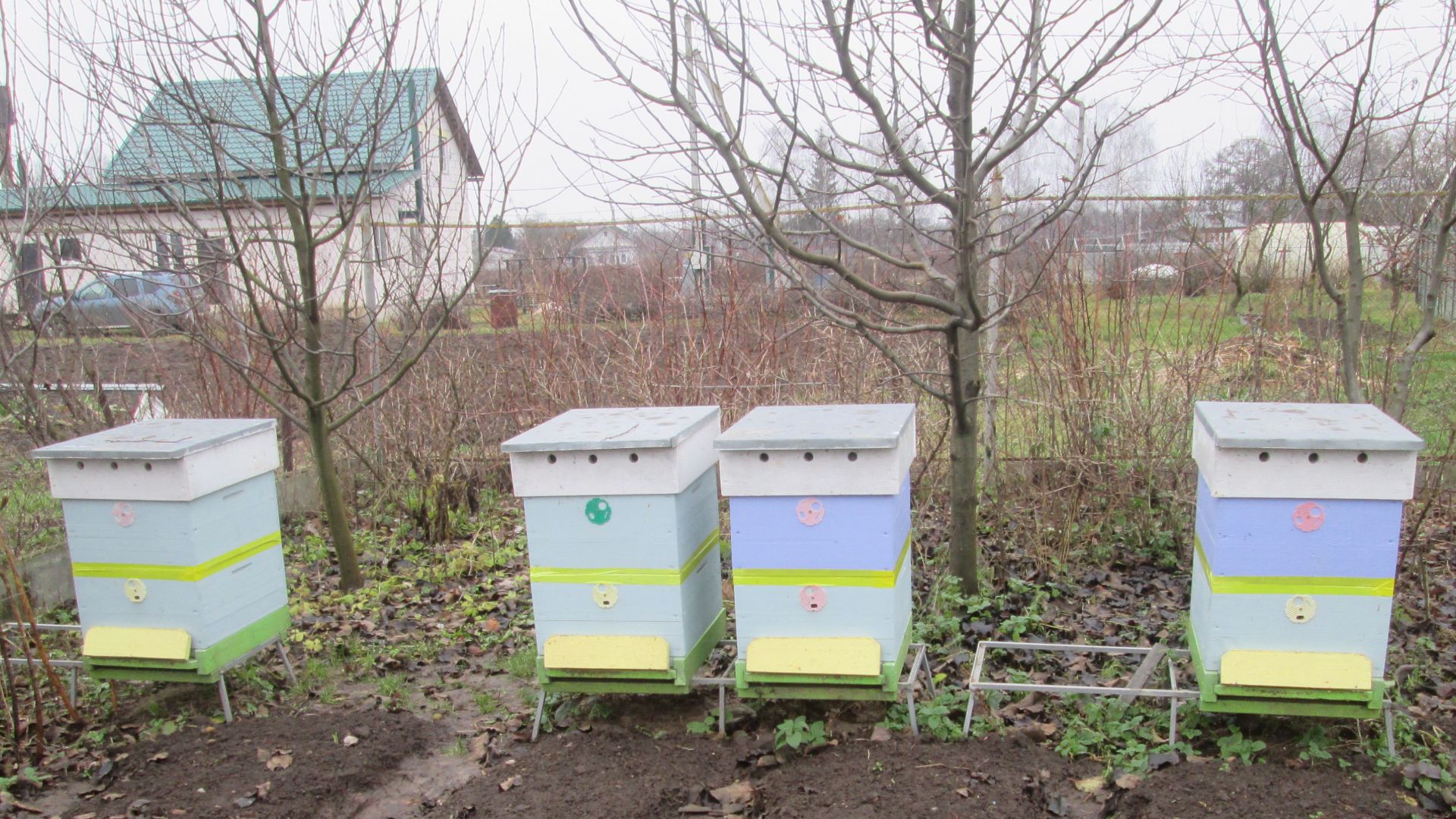 Зимовка пчел на улице