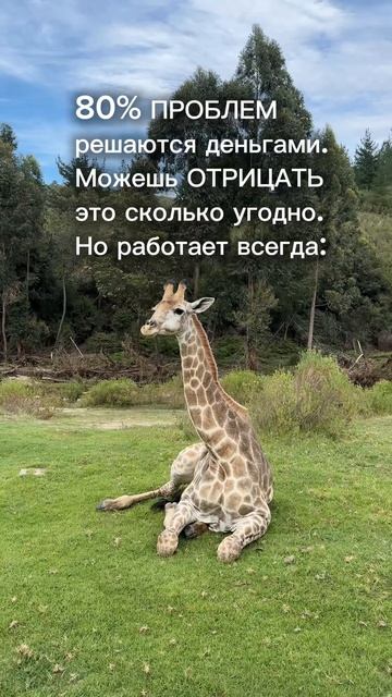 Это самая успокаивающая формула в жизни