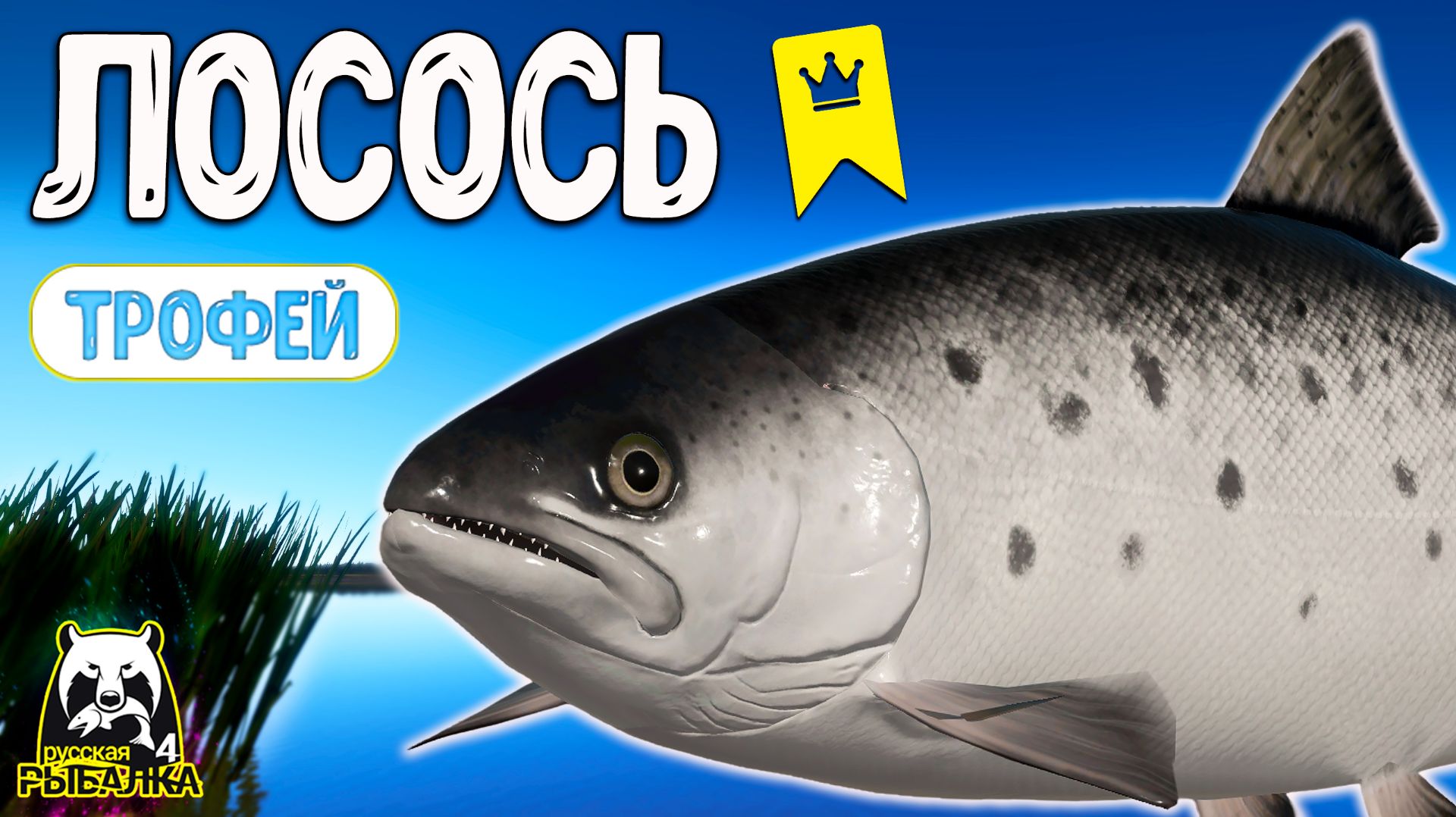 Мы все думали что быть такого не может #рр4