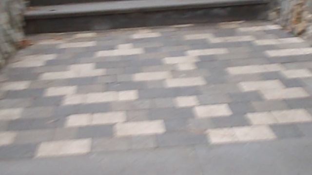 DSCN8473Осенний Железноводск.Белочка хозяйка железноводского парка ноябрь 2025